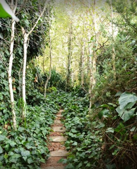 GALLERY – Roche House